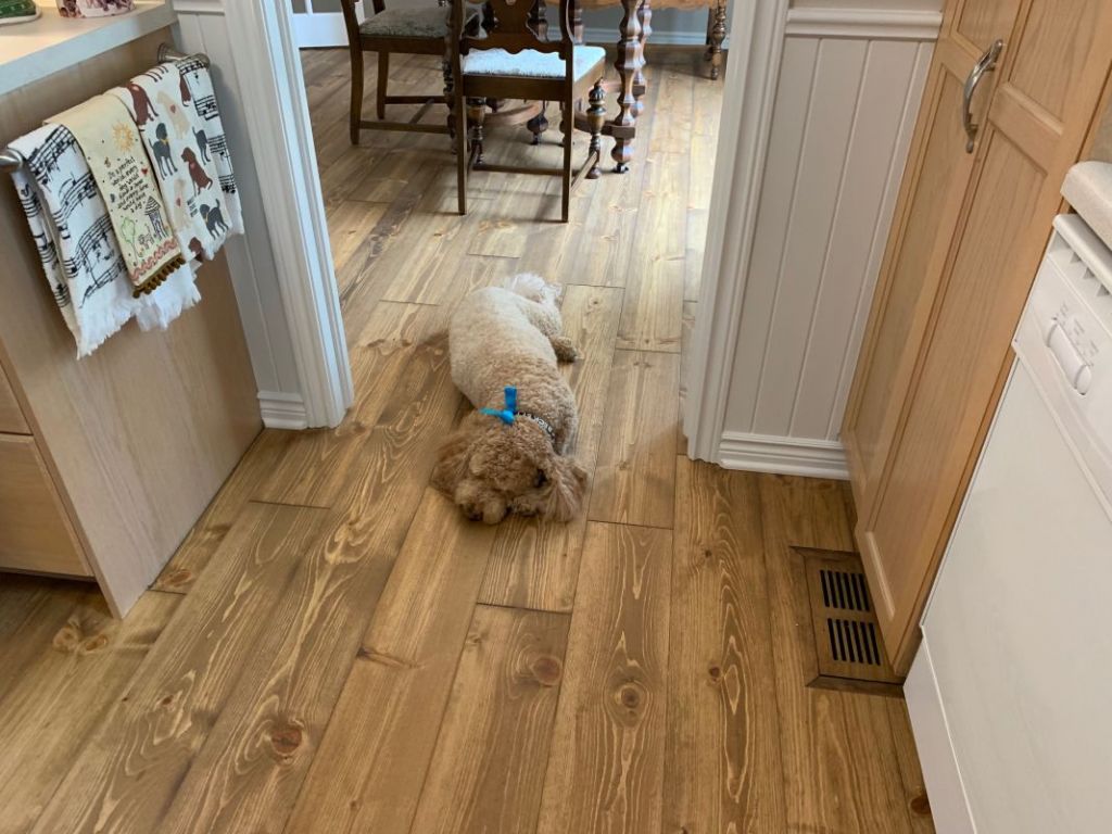 Janka Hardness Scale - Logs End